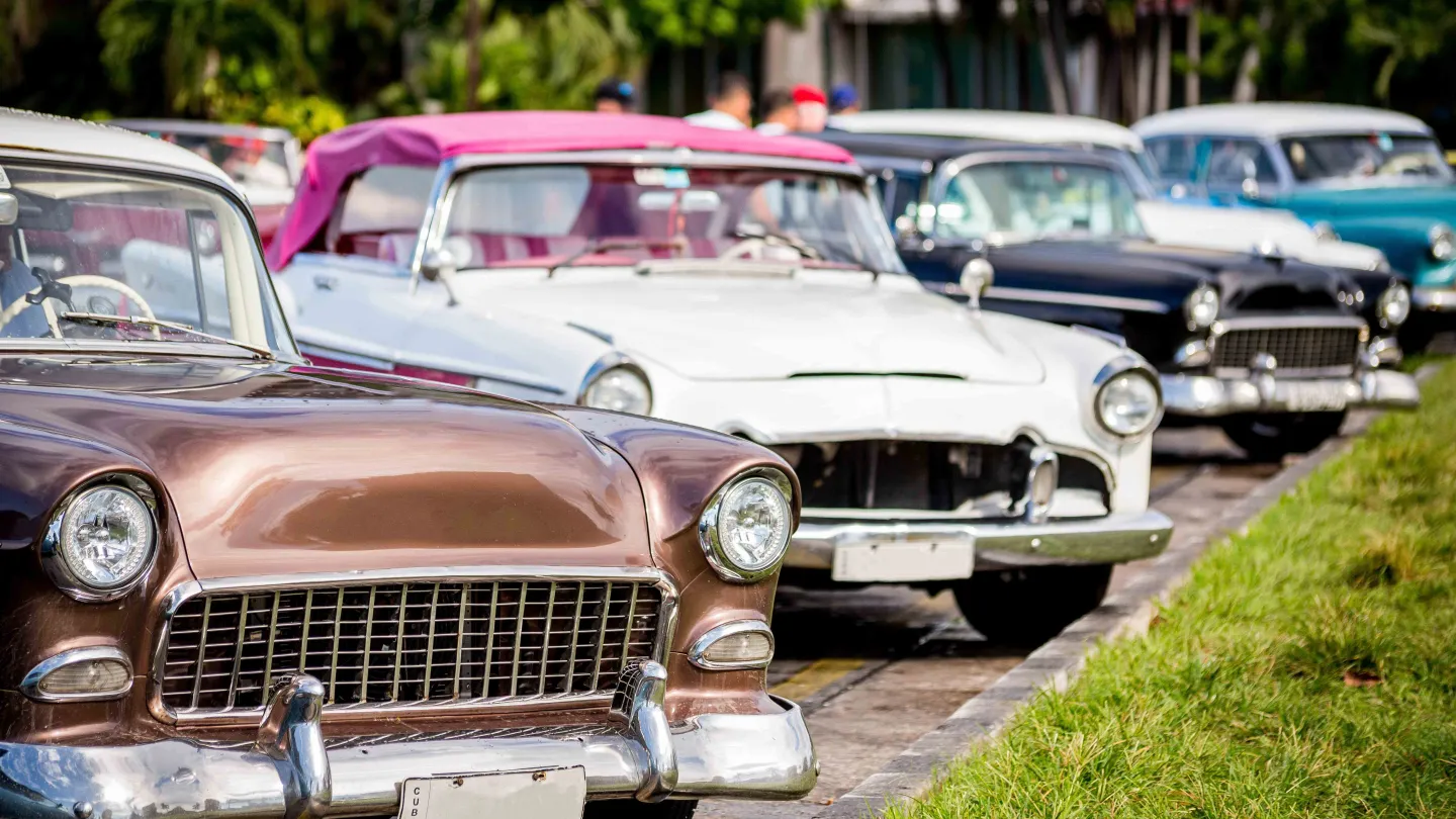 Hvor skal jeg reise i 2025?